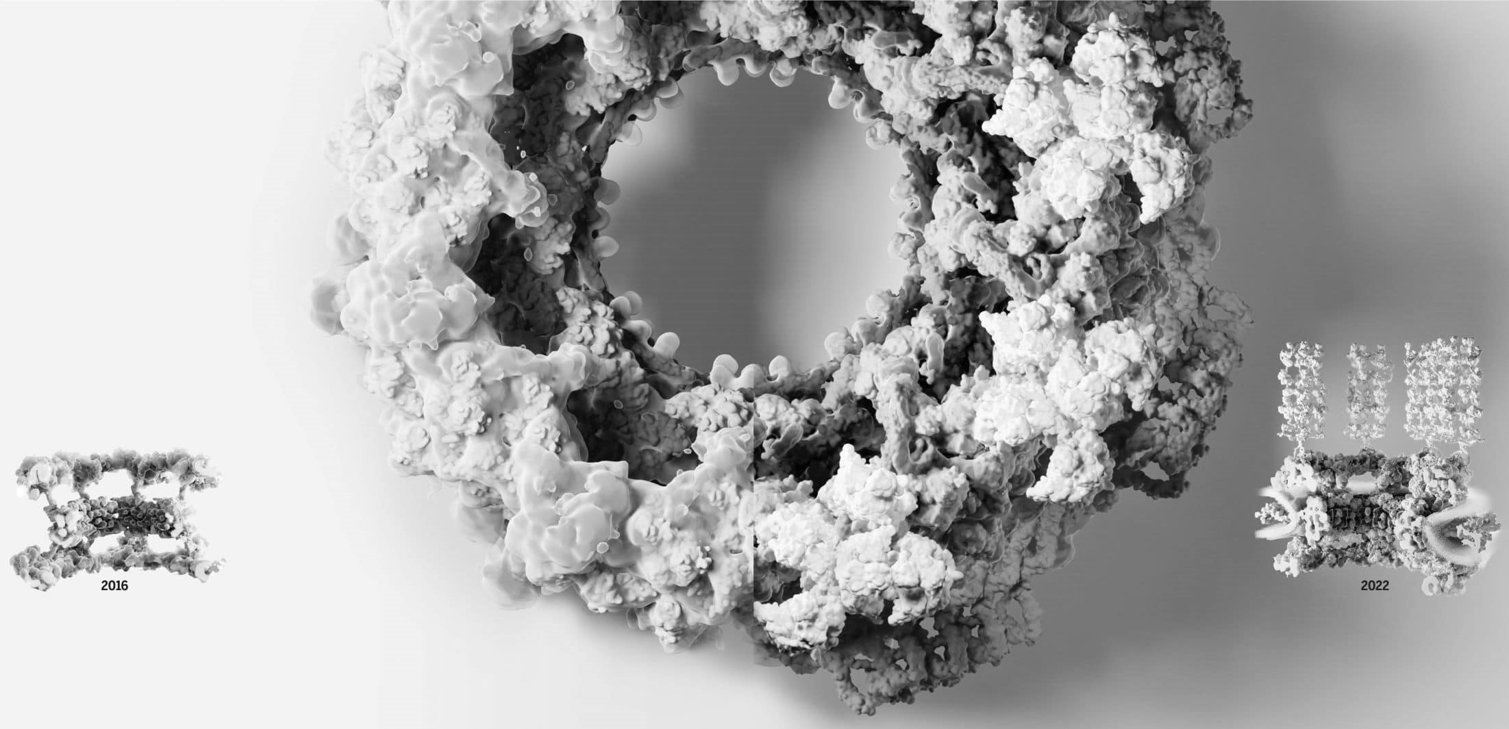 Modélisation des protéines du pore nucléaire : une précision inégalée ...